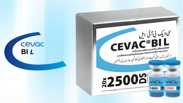 Marush Poultry Vaccines | CEVA’s Sole Distributor in Pakistan